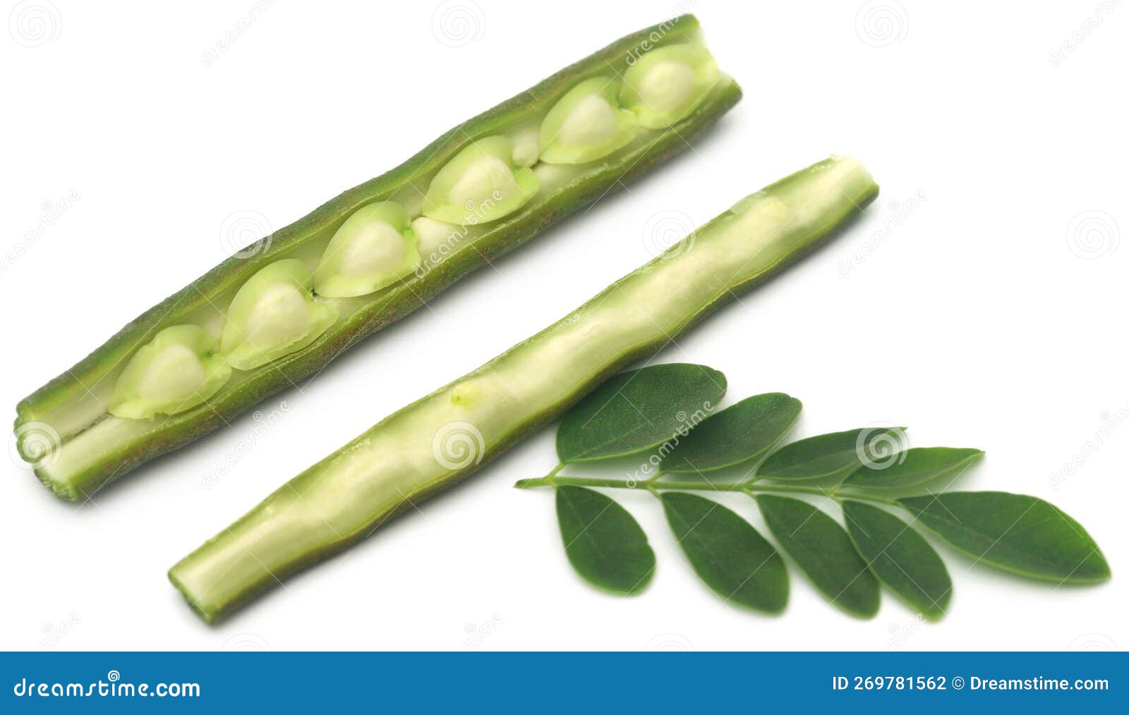 Edible Moringa with Fresh Leaves Stock Photo - Image of background ...
