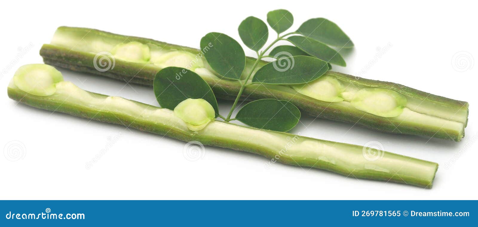 Edible Moringa with Fresh Leaves Stock Image - Image of nebeday ...