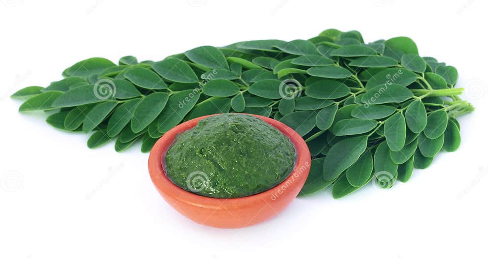 Edible Moringa Leaves with Ground Paste Stock Image - Image of healer ...