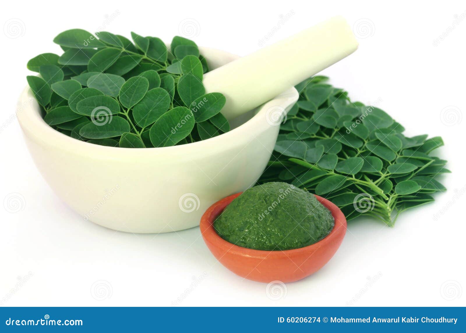 Edible Moringa Leaves with Ground Paste Stock Photo - Image of ground ...