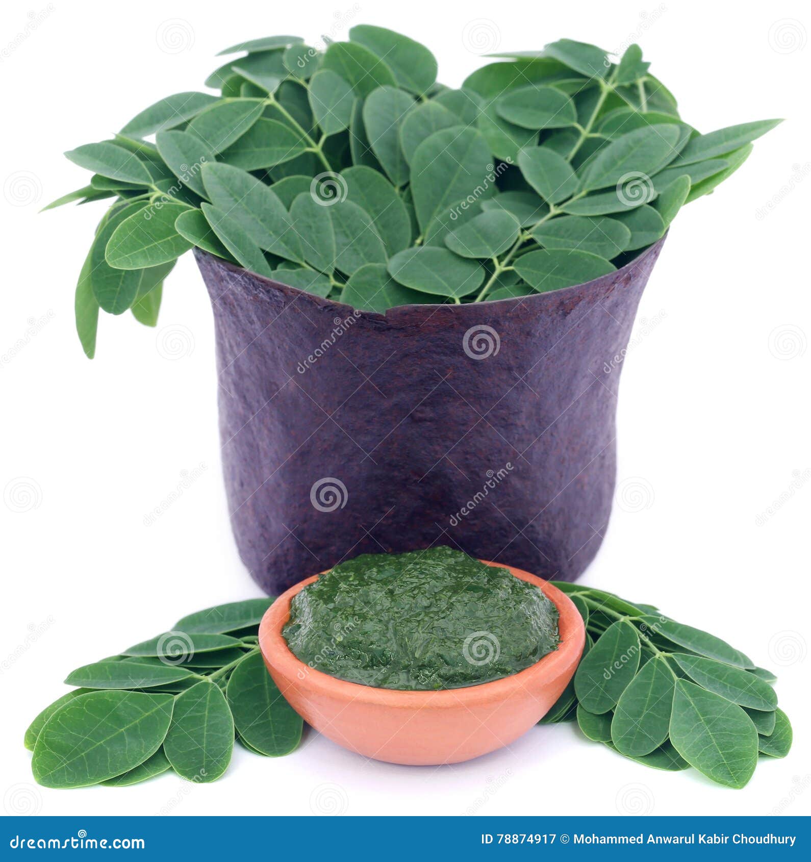 Edible Moringa Leaves in a Vintage Mortar with Ground Paste Stock Image ...