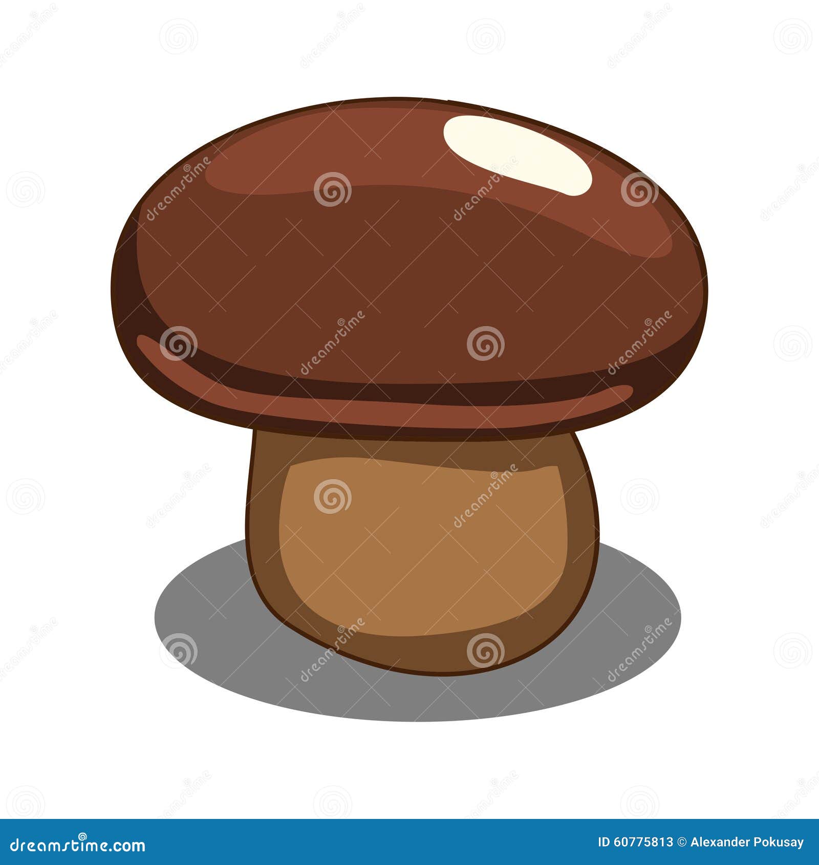 Edible Mushroom Vector Illustration Stock Vector - Illustration of ...