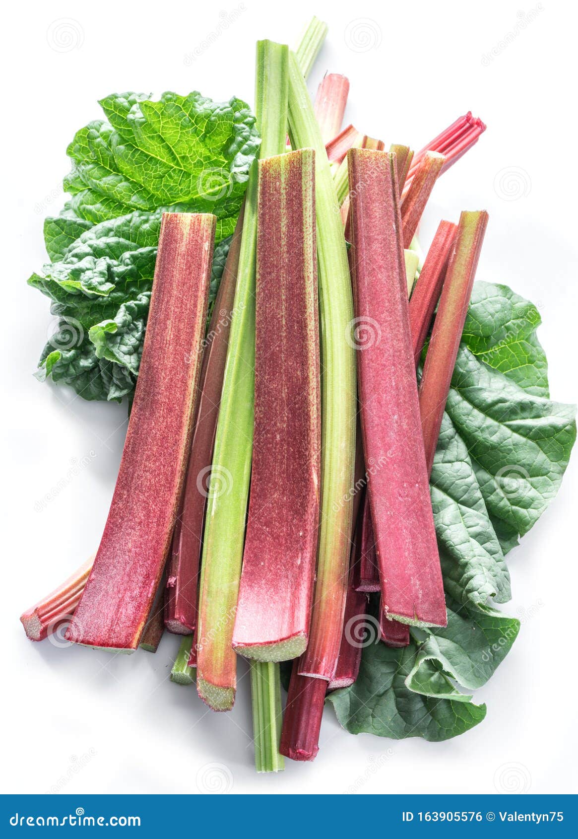 Edible Rhubarb Stalks on the White Background Stock Photo - Image of ...