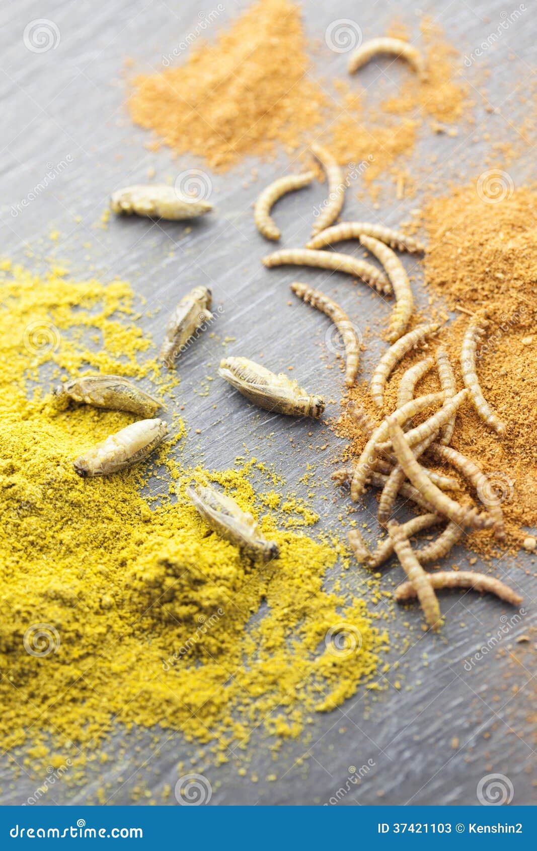 Edible roasted insects stock image. Image of cook, roasted - 37421103