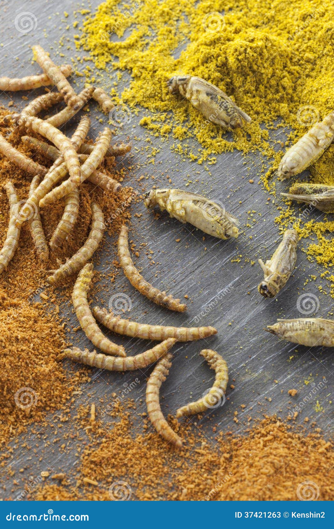Edible roasted insects stock image. Image of product - 37421263