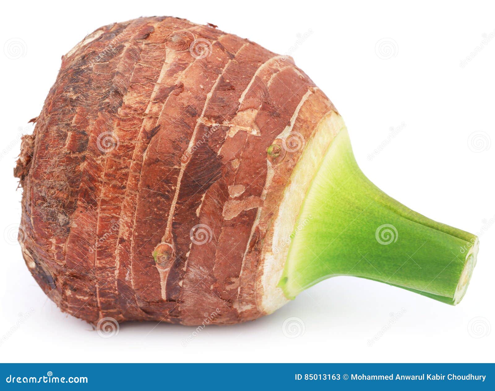 Edible root of colocasia stock image. Image of north - 85013163