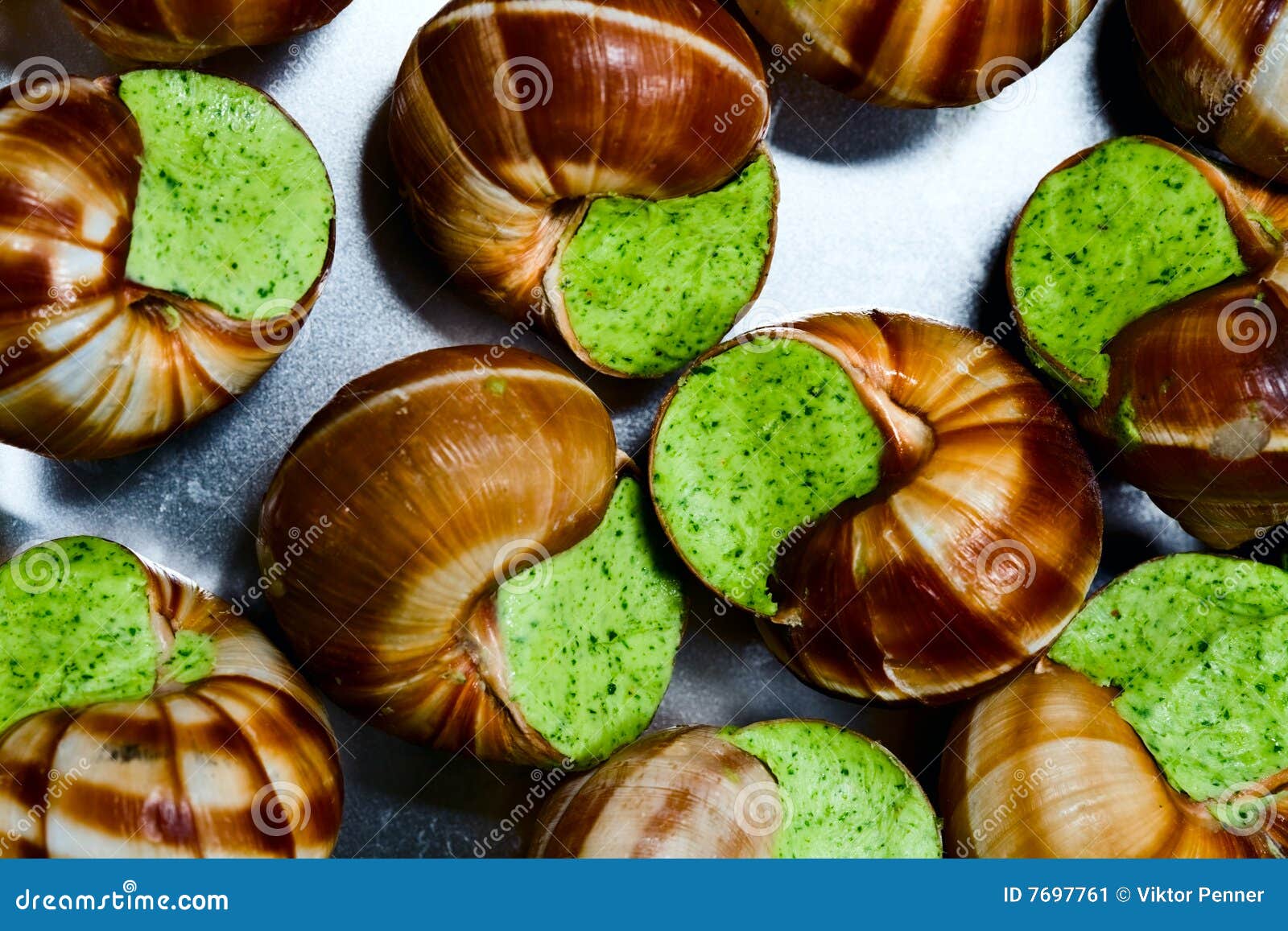 Edible snails stock image. Image of tasty, dinner, snail - 7697761