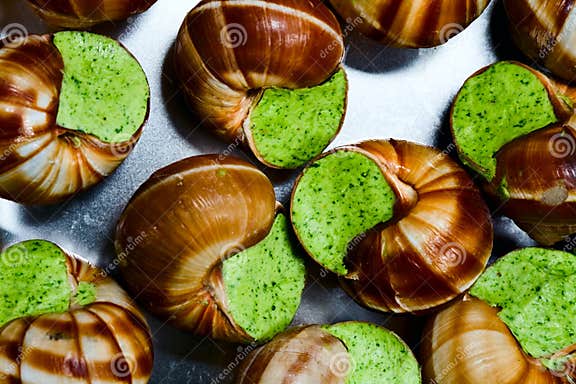 Edible snails stock image. Image of tasty, dinner, snail - 7697761