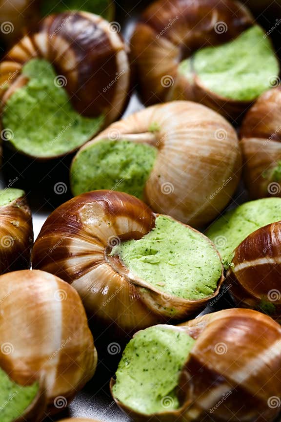 Edible snails stock photo. Image of tasteful, cuisine - 8081238