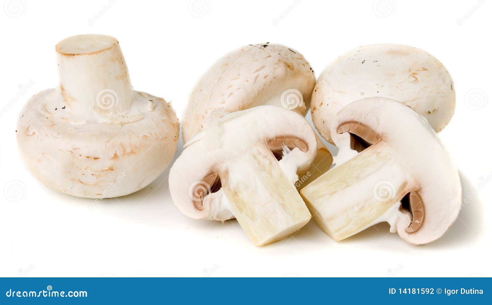 Button Mushroom, White Mushroom, Common Mushroom, Champignon Mushroom ...