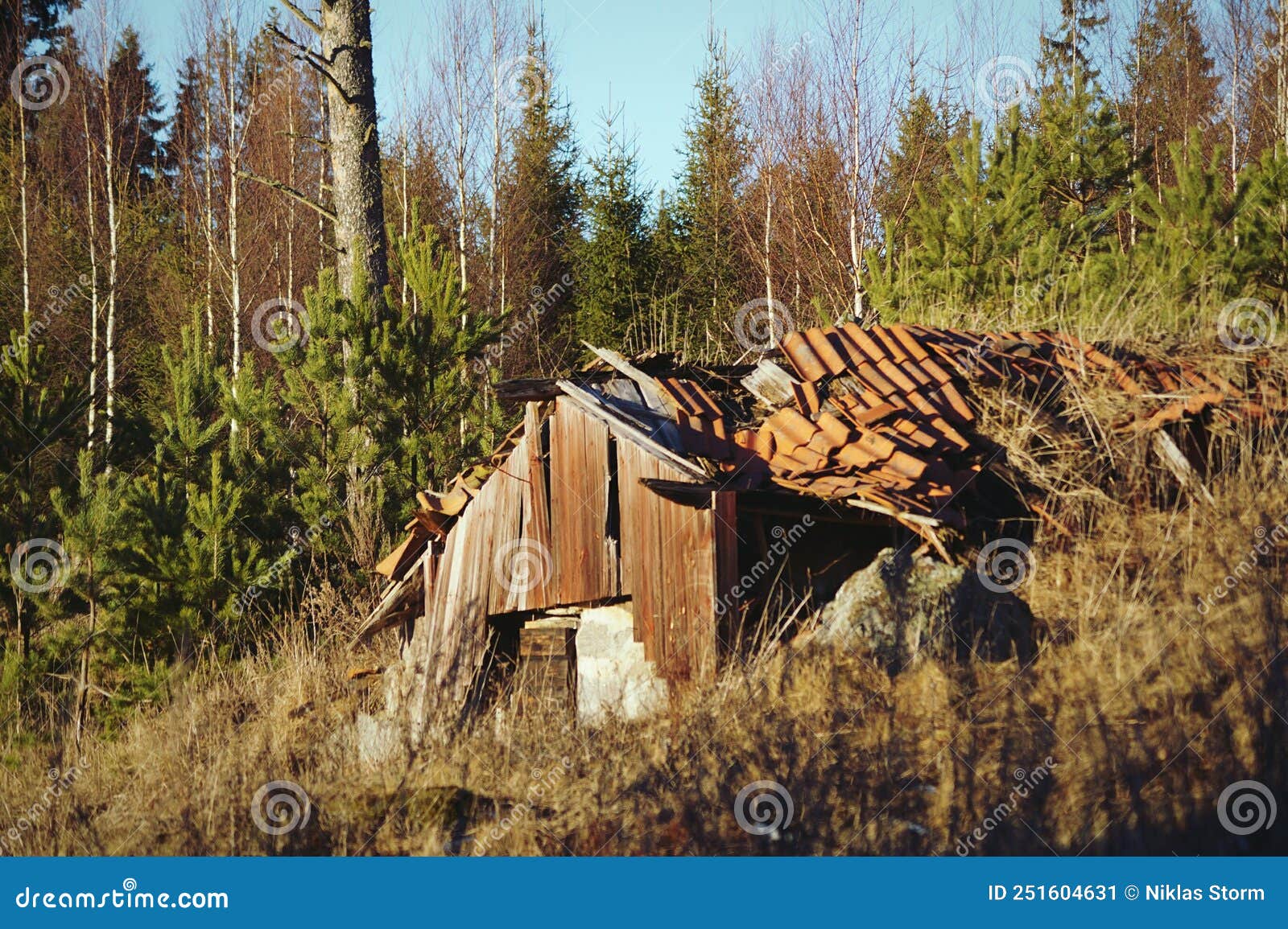 Edificio Roto En El Campo En Verano Imagen de archivo - Imagen de ...
