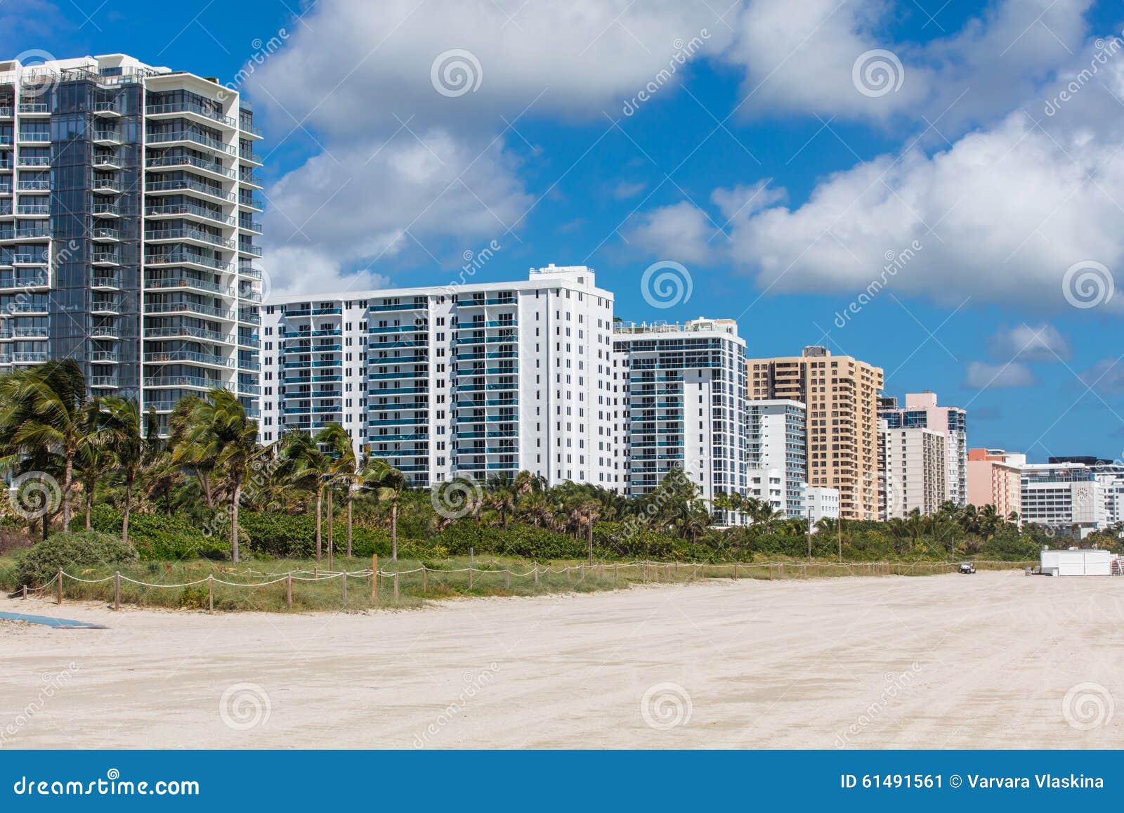 Edificios Residenciales Modernos En La Costa En Miami Beach Imagen de ...