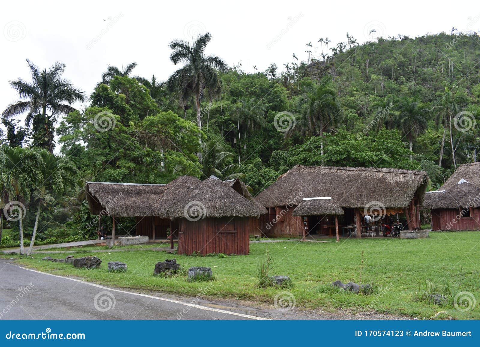 Edificios Rojos Con Techo De Paja En El área Rural De Vinales Imagen de ...