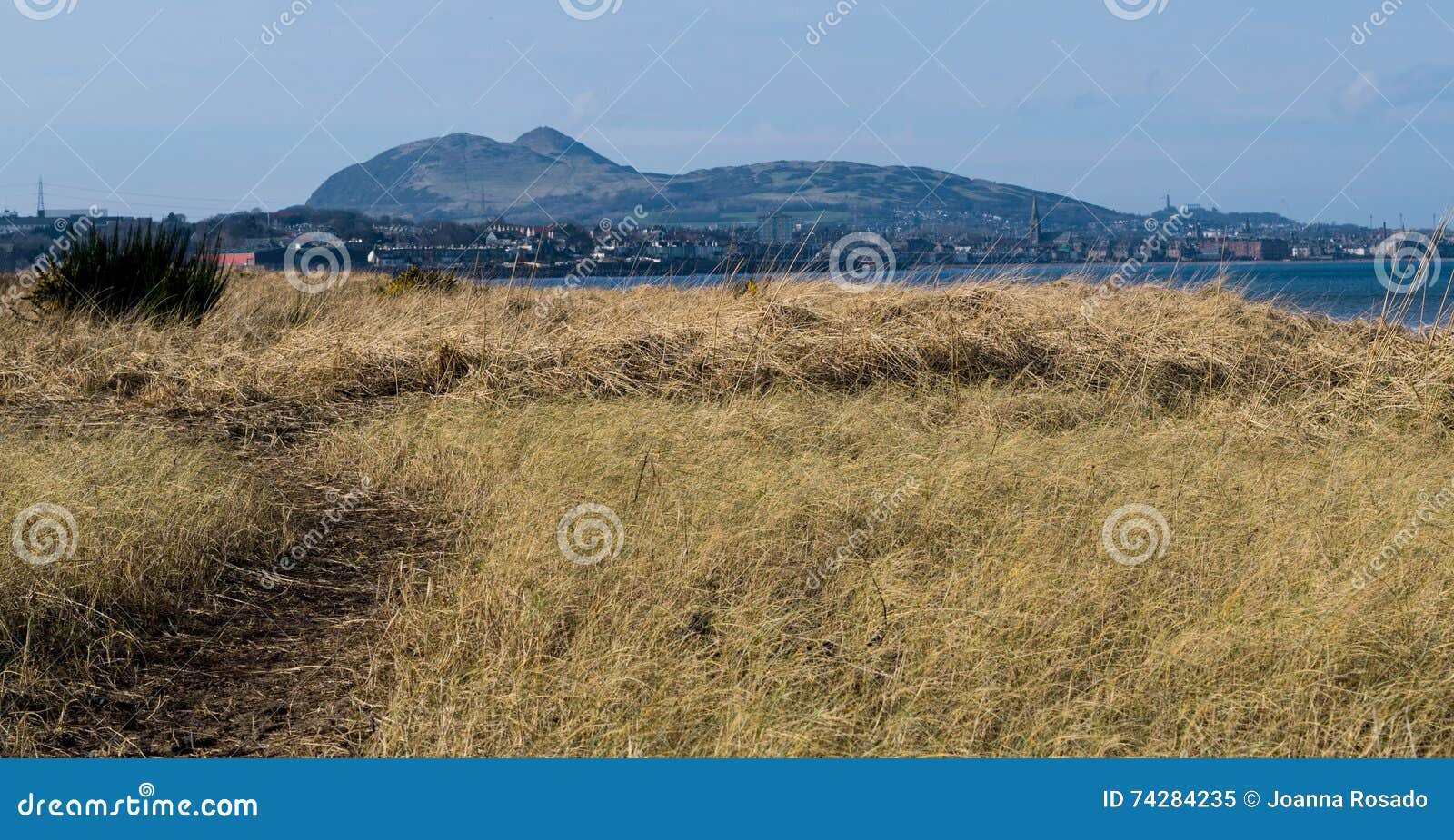 Musselburgh Beach Stock Photos - Free & Royalty-Free Stock Photos from ...