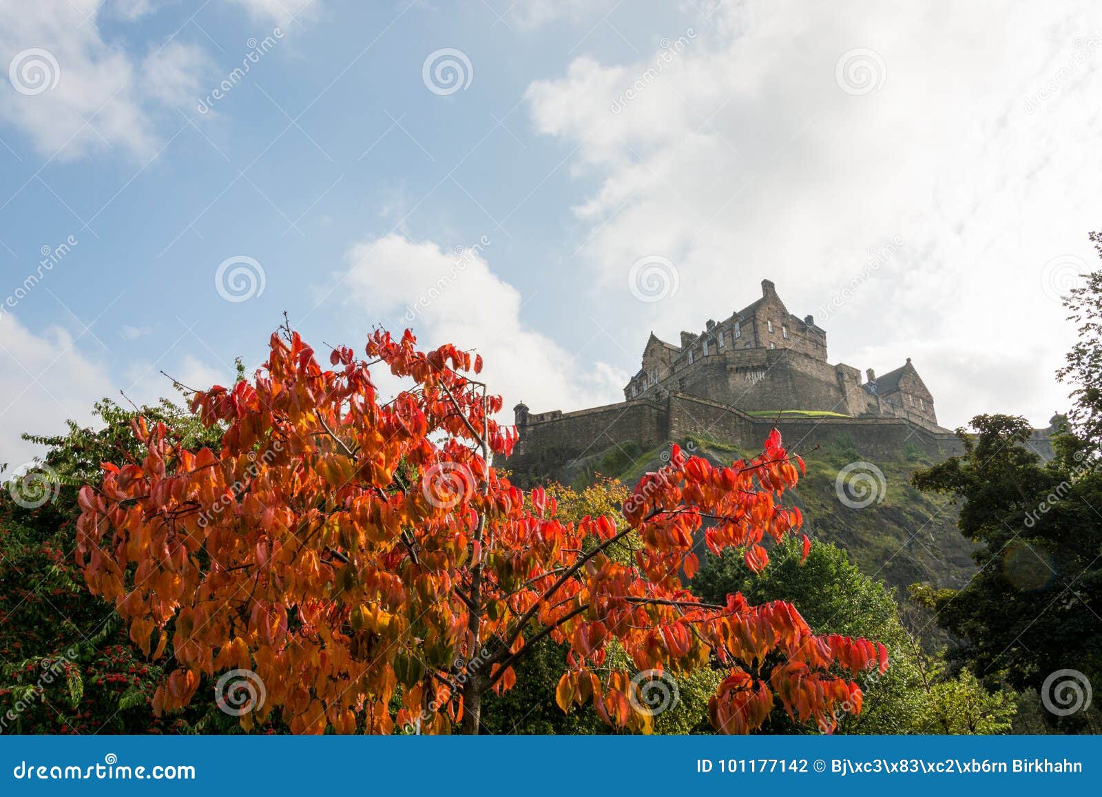Edinburgh Castle with an Autumn Tree with Beautiful Colours in F Stock ...