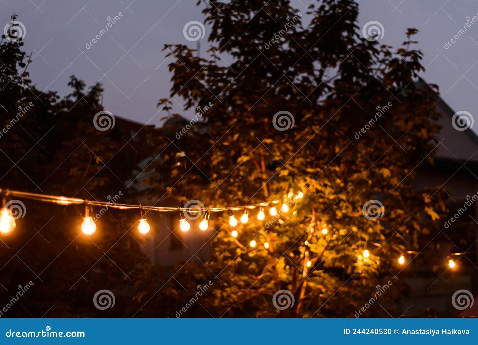 Edison Bulbs Burn at Night on a Long Wire Stretched between Trees Stock ...