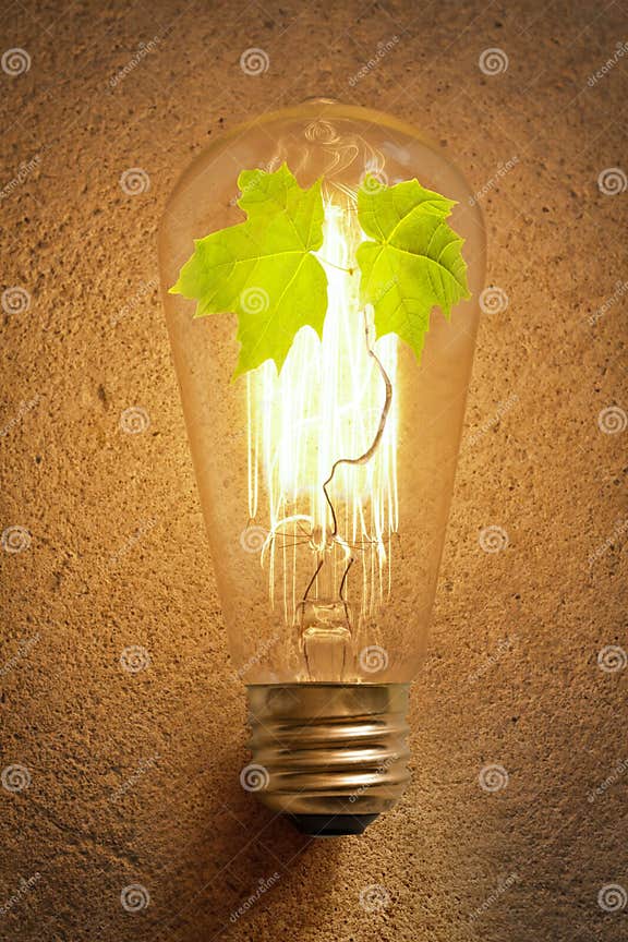 Edison Lightbulb Tree stock photo. Image of concept, bulbs - 55905280