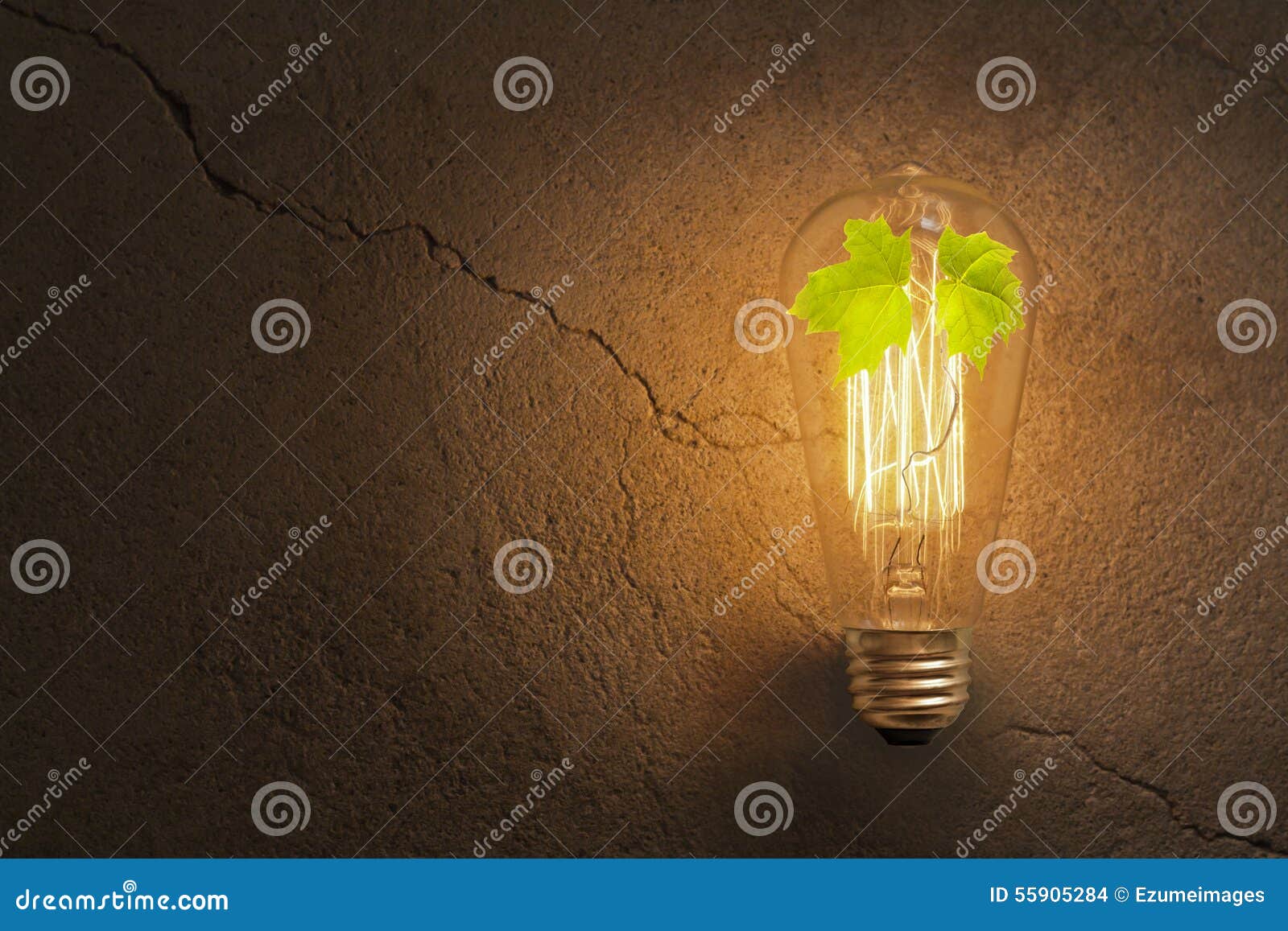 Edison Lightbulb Tree stock photo. Image of golden, nature - 55905284