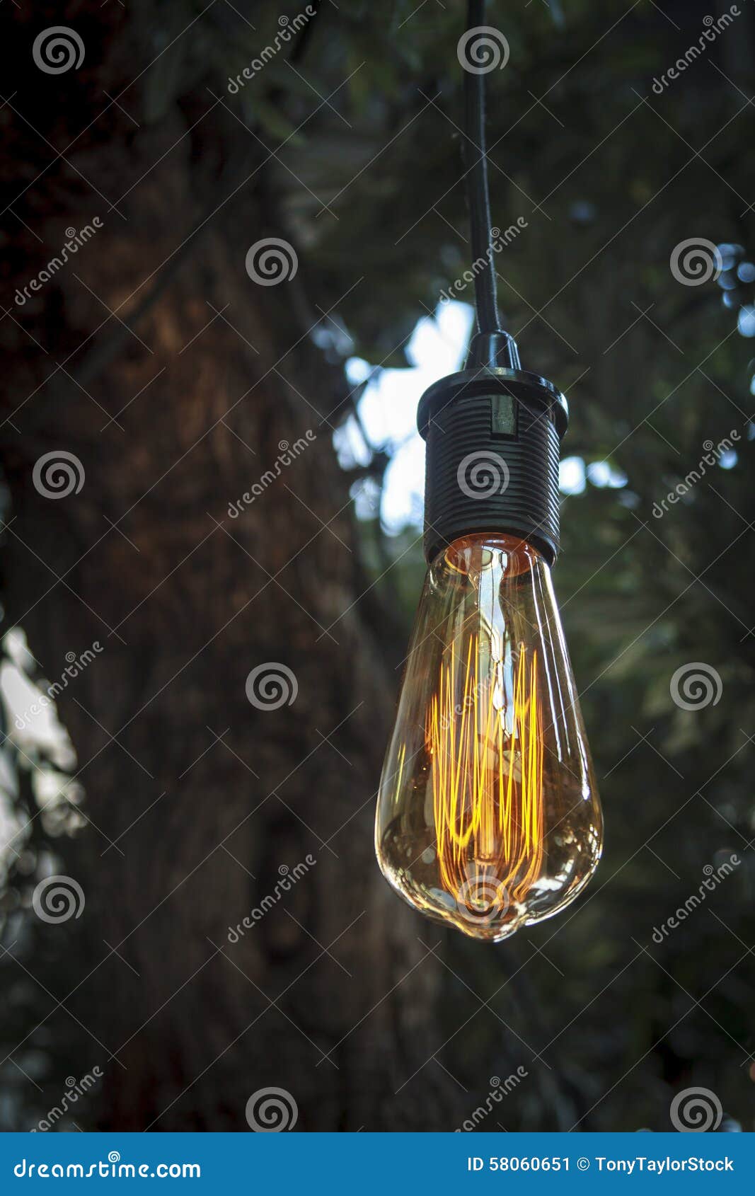 Edison style light bulb stock image. Image of decorative - 58060651