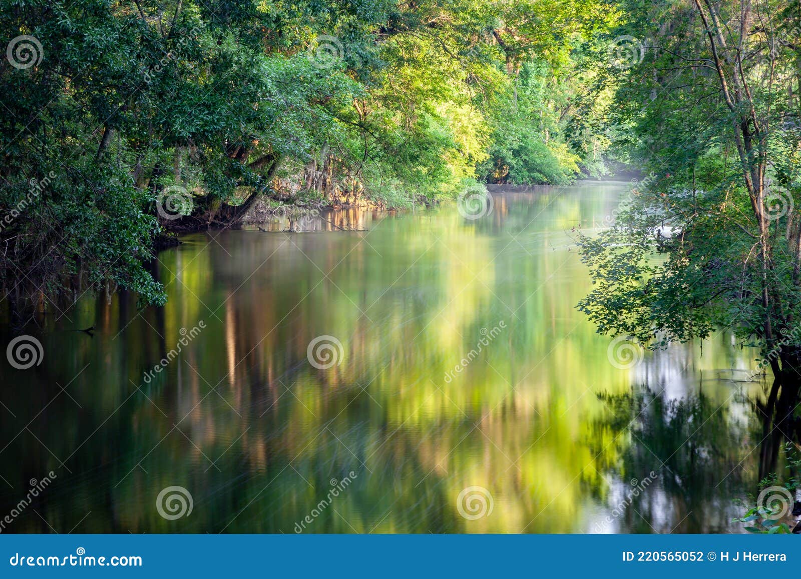 Edisto River Near Orangeburg, South Carolina Stock Photo - Image of ...