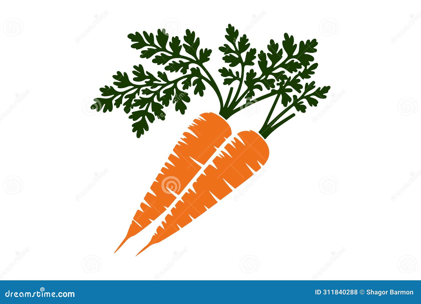 Carrot in Color Stock Illustration . Stock Vector - Illustration of ...