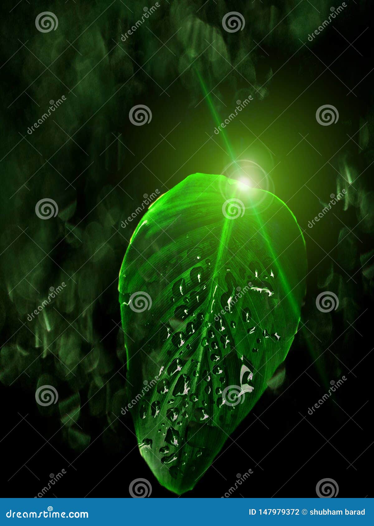 Edited Green Leaf after Rain Mind Ideas Fun of Creativity Stock Photo ...