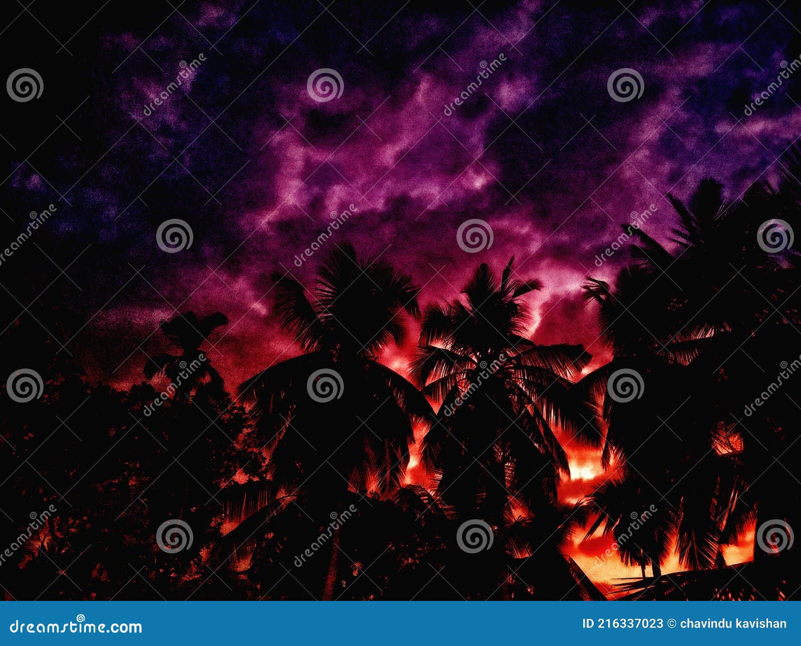 Edited Night Sky stock image. Image of night, trees - 216337023