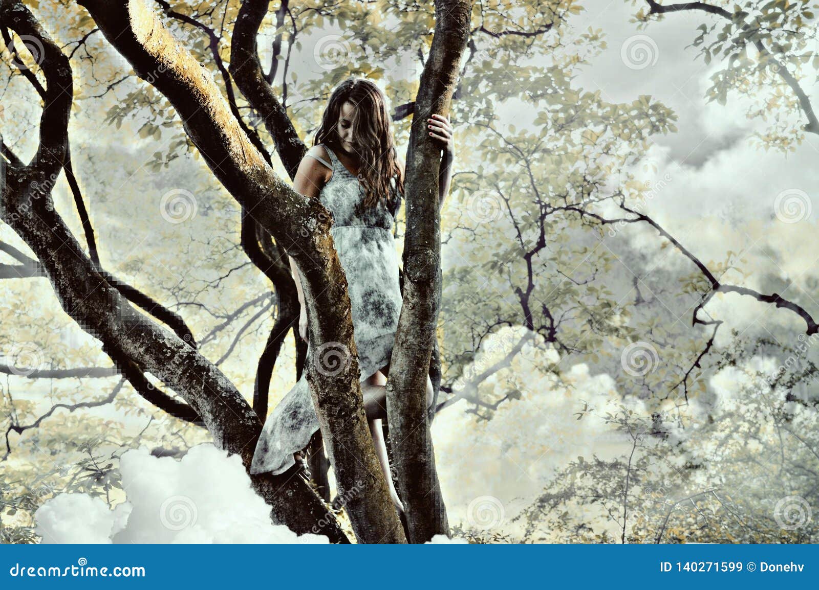 Girl posing in a tree stock image. Image of fantasy - 140271599