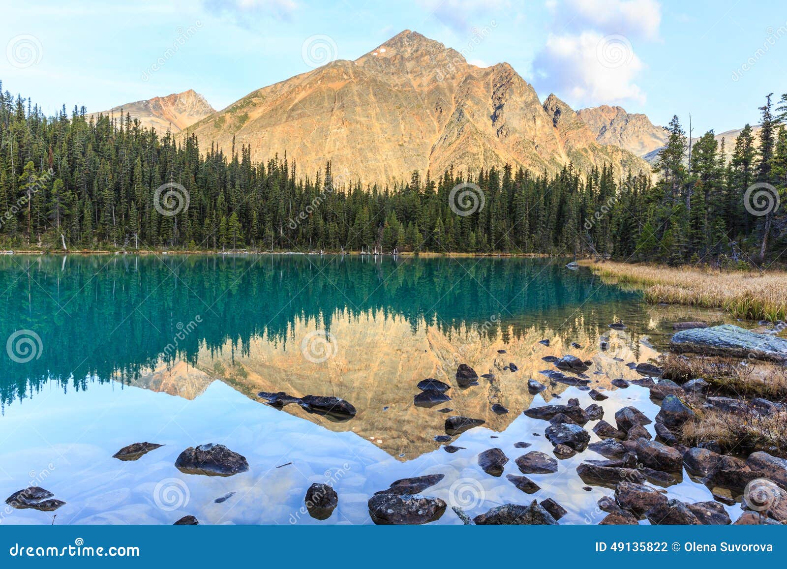 Edith Cavell Lake stock photo. Image of canada, rock - 49135822