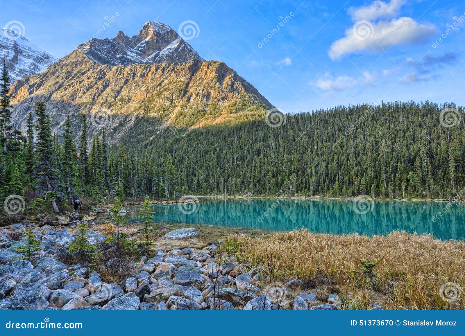 Edith Cavell Lake stock photo. Image of river, capped - 51373670