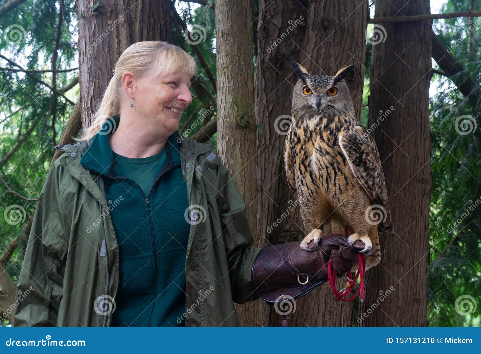 Park ranger explaining owl editorial image. Image of carnivore - 157131210