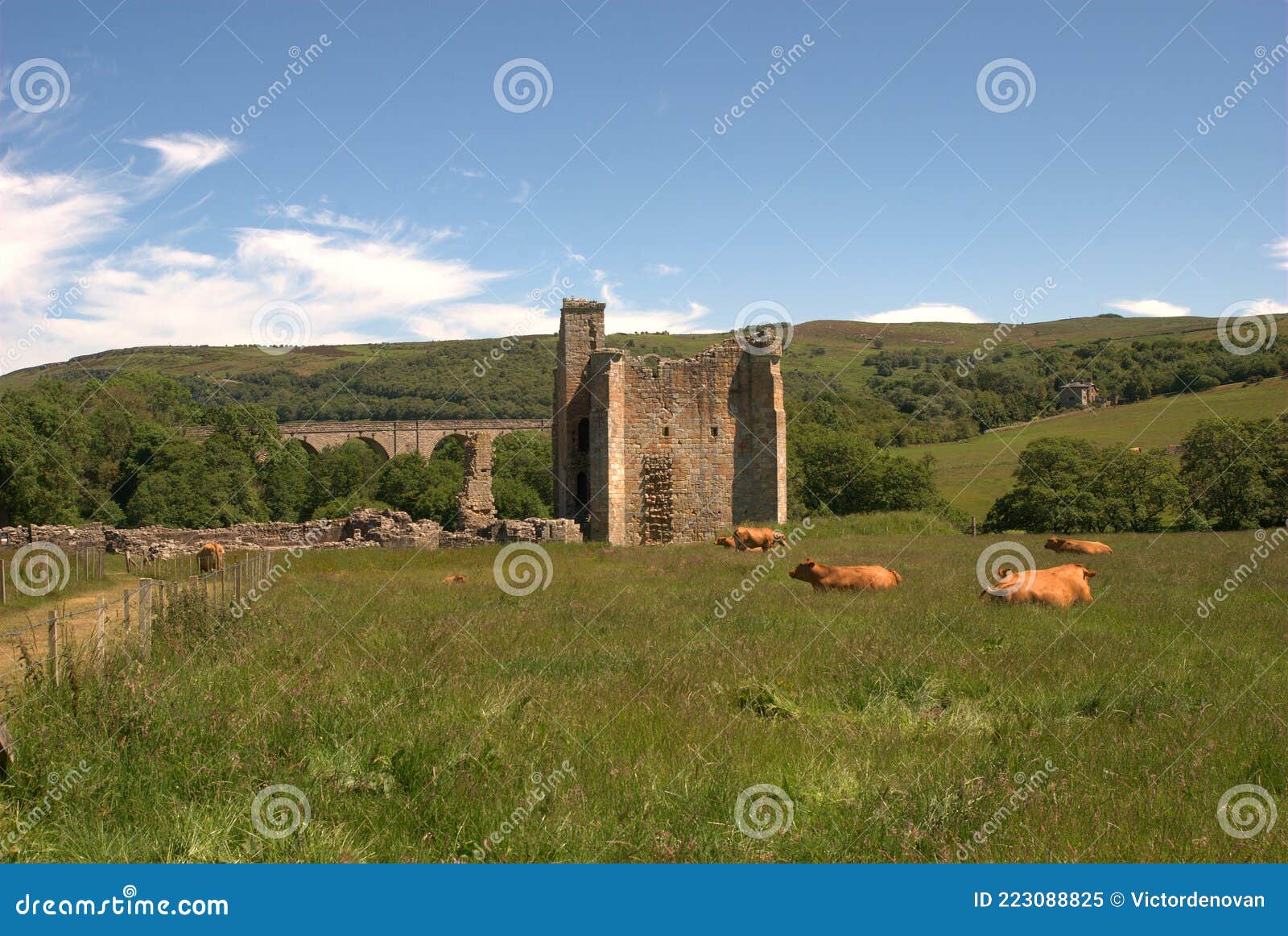 Edlingham Castle and Old Arched Bridge in Summer Stock Image - Image of ...
