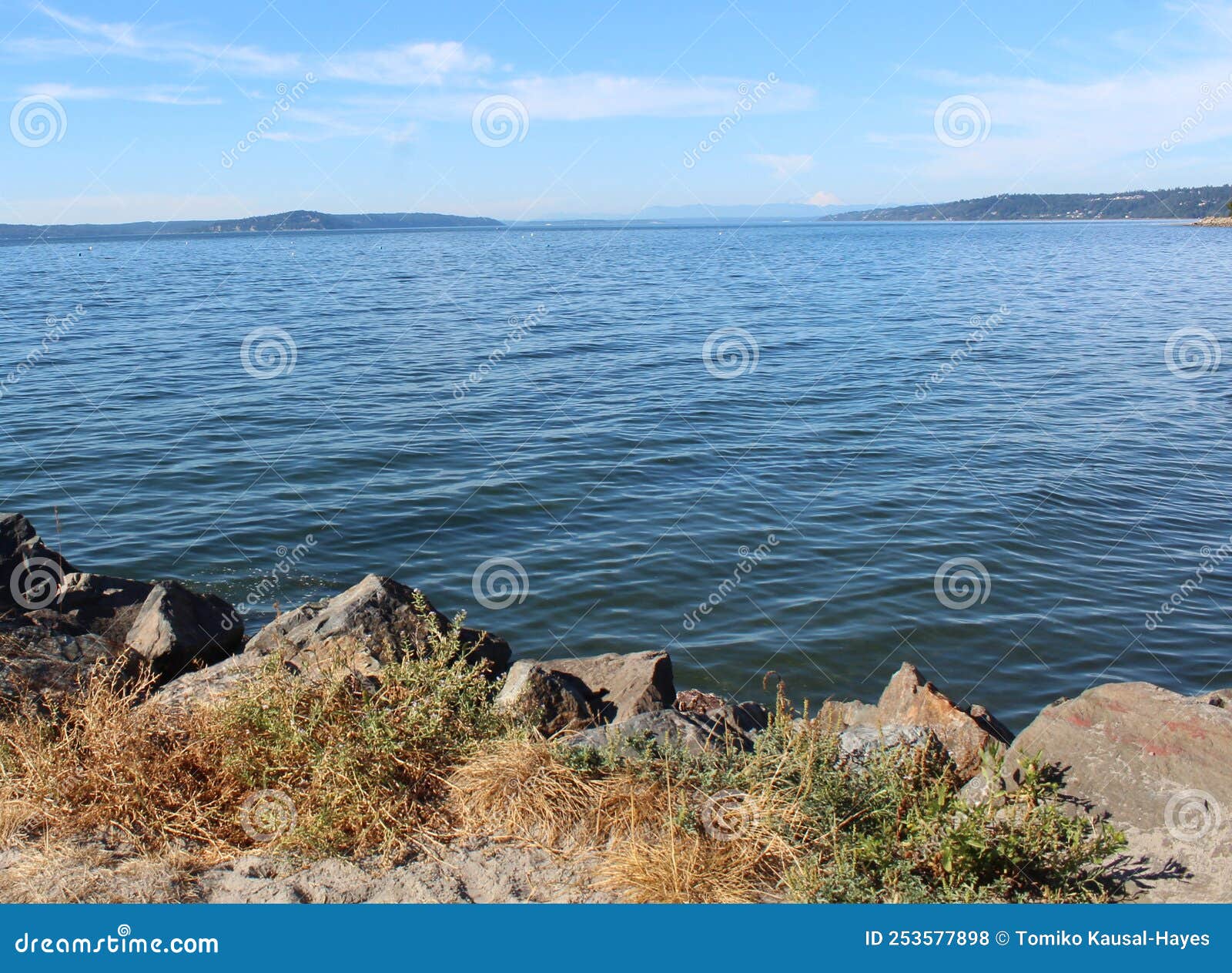 Edmonds Beach stock photo. Image of sunny, edmonds, mountains - 253577898