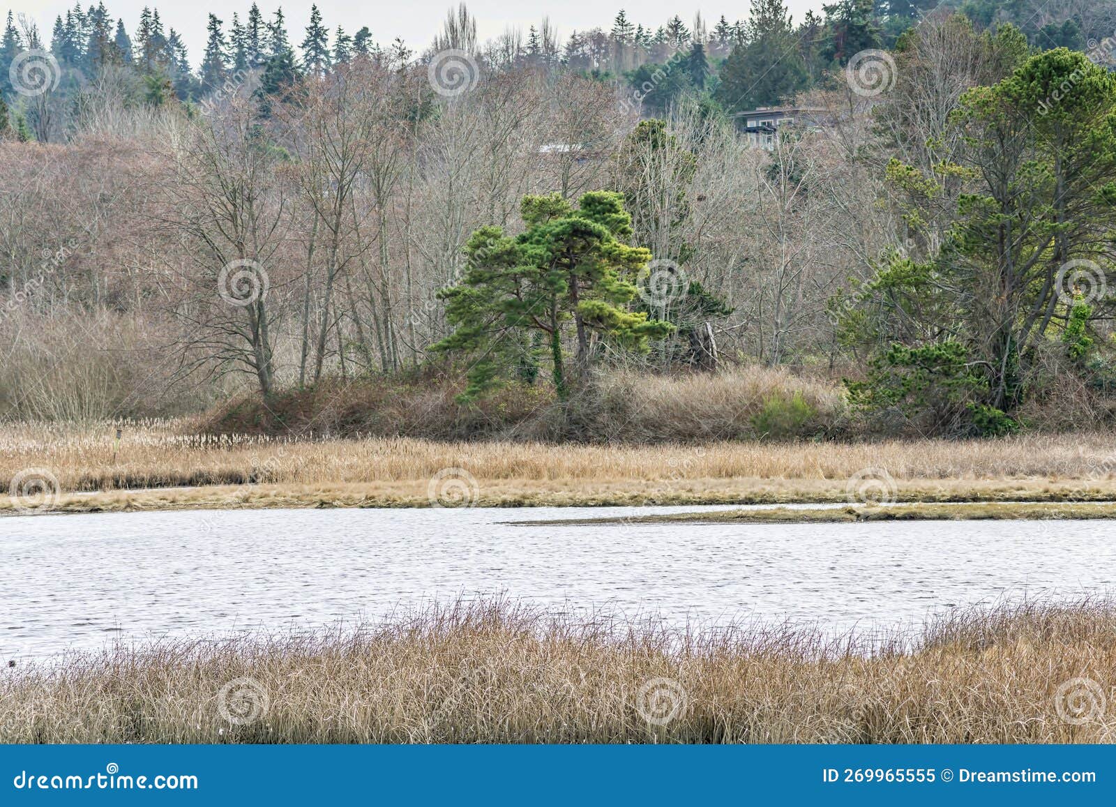 Edmonds Marsh Landscape Scene 6 Stock Image - Image of marsh, nature ...
