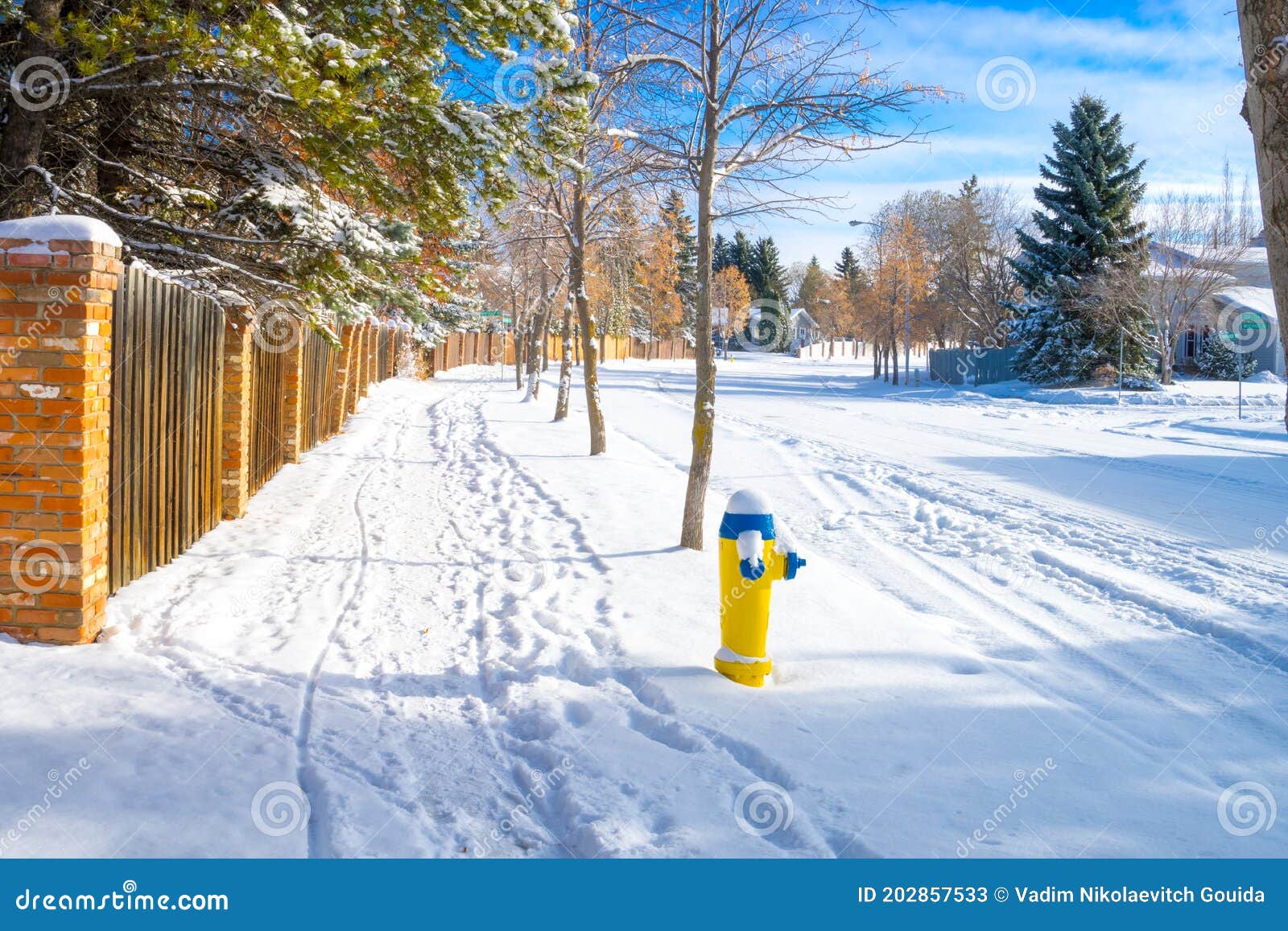 Edmonton City Street Sidewalk after Snowfall Stock Image - Image of ...