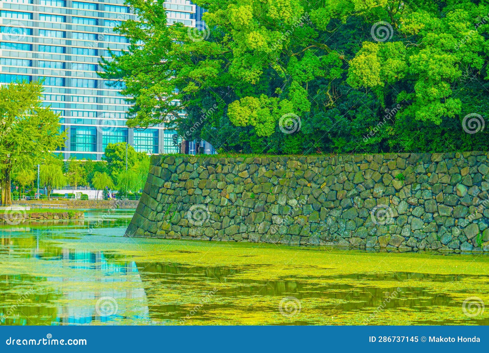 Edo Castle Ishigaki stock image. Image of archeological - 286737145