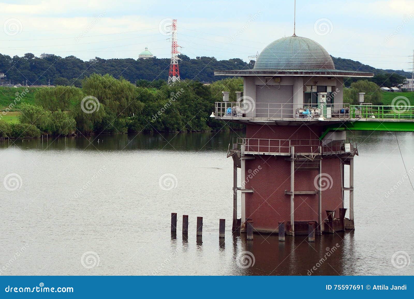 Edo River, Tokyo, Japan stock image. Image of chiba, green - 75597691