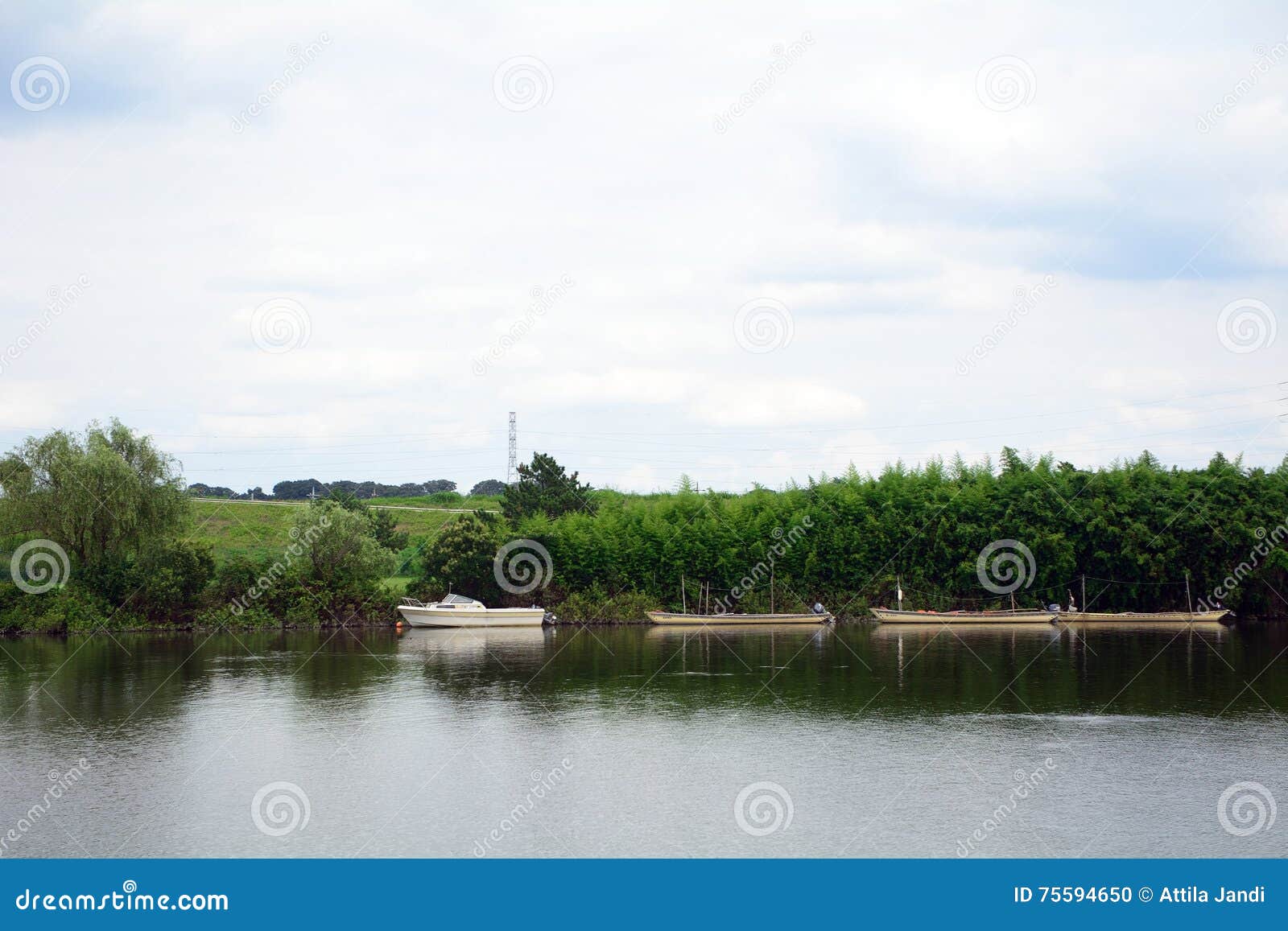 Edo River, Tokyo, Japan stock photo. Image of asian, nippon - 75594650