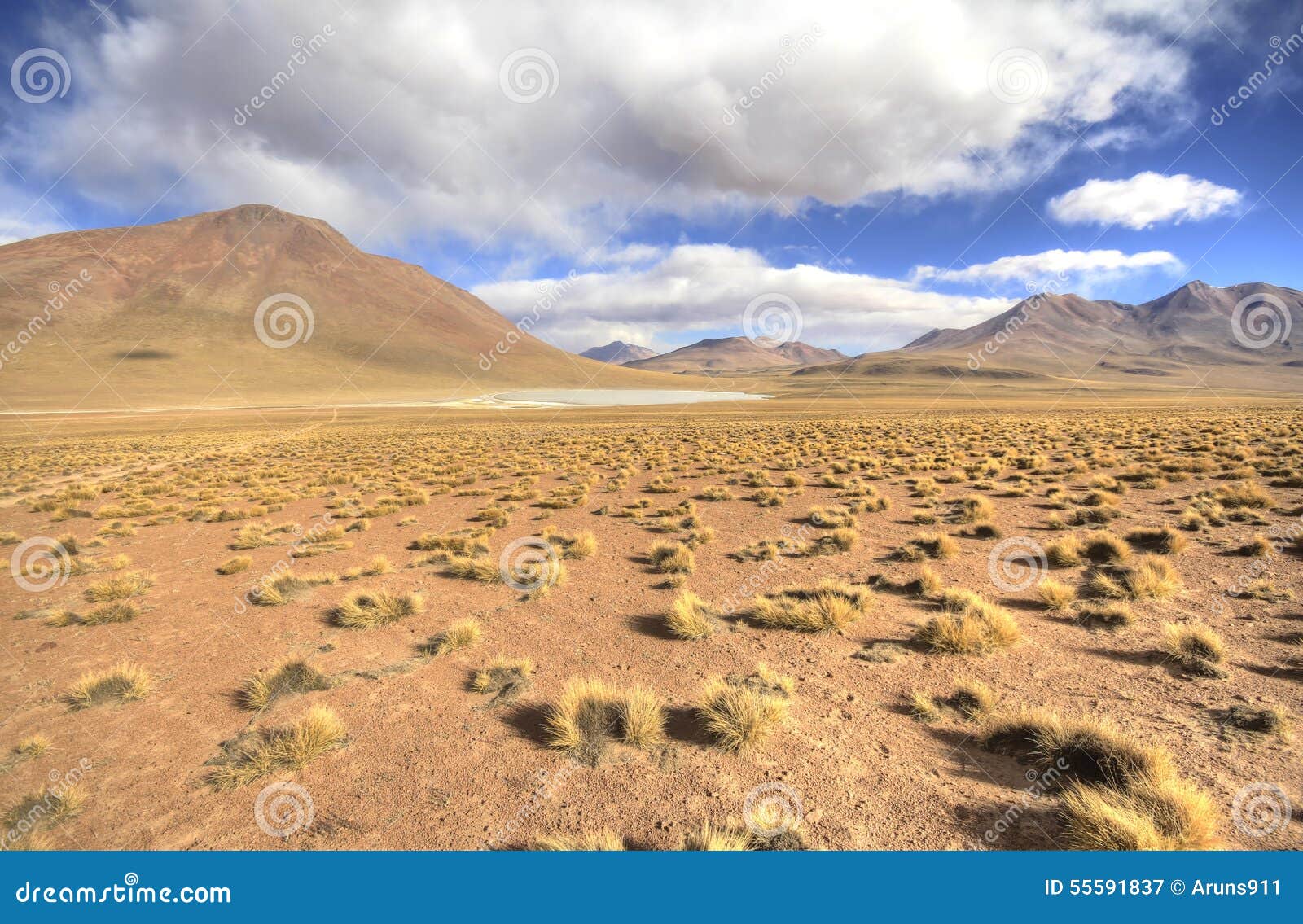 Eduardo Alveroa, Uyuni Bolivia Stock Image - Image of sand, cactus ...
