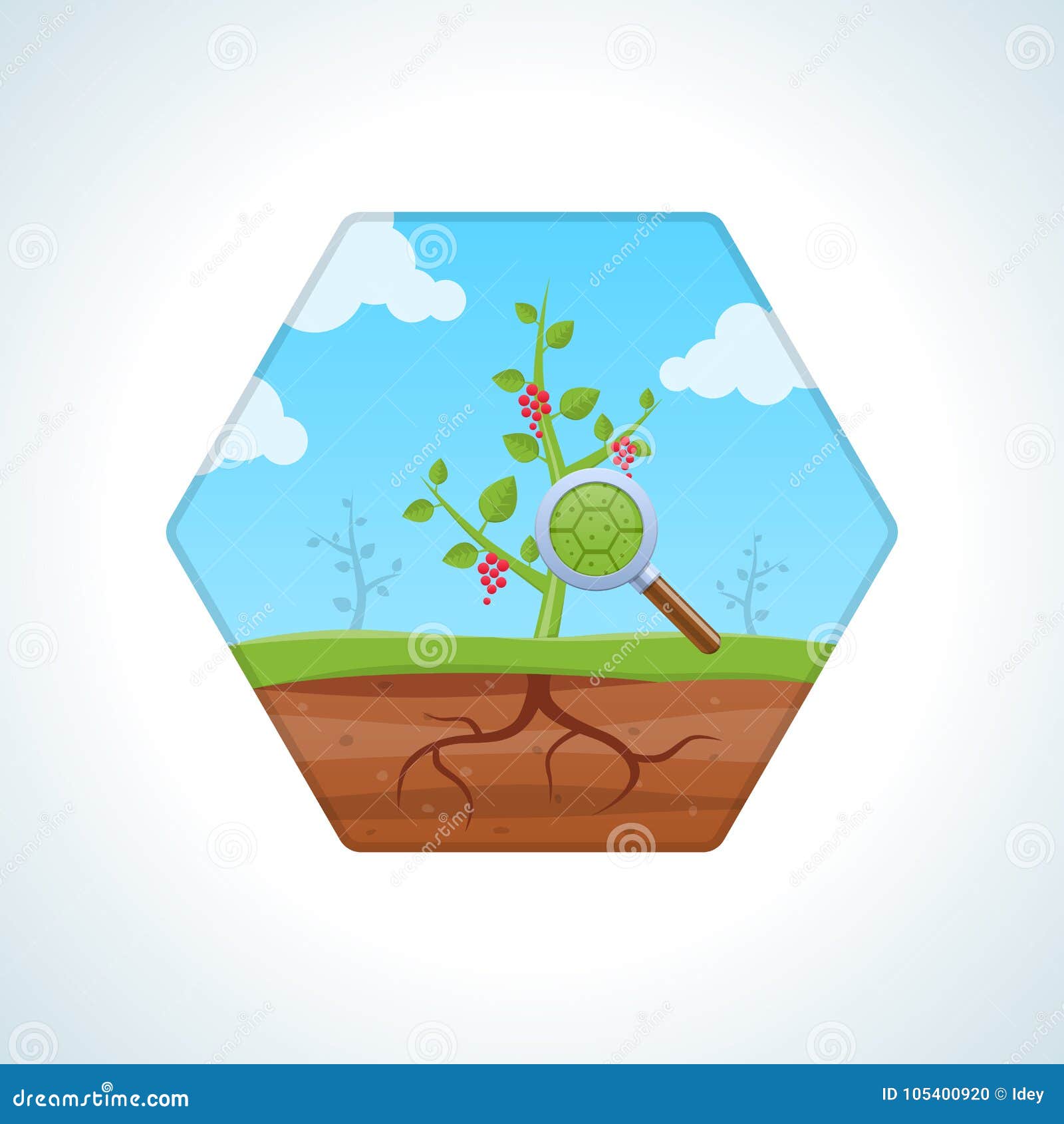 Modern Education, Biology, Botany and Natural History, Study of Nature ...