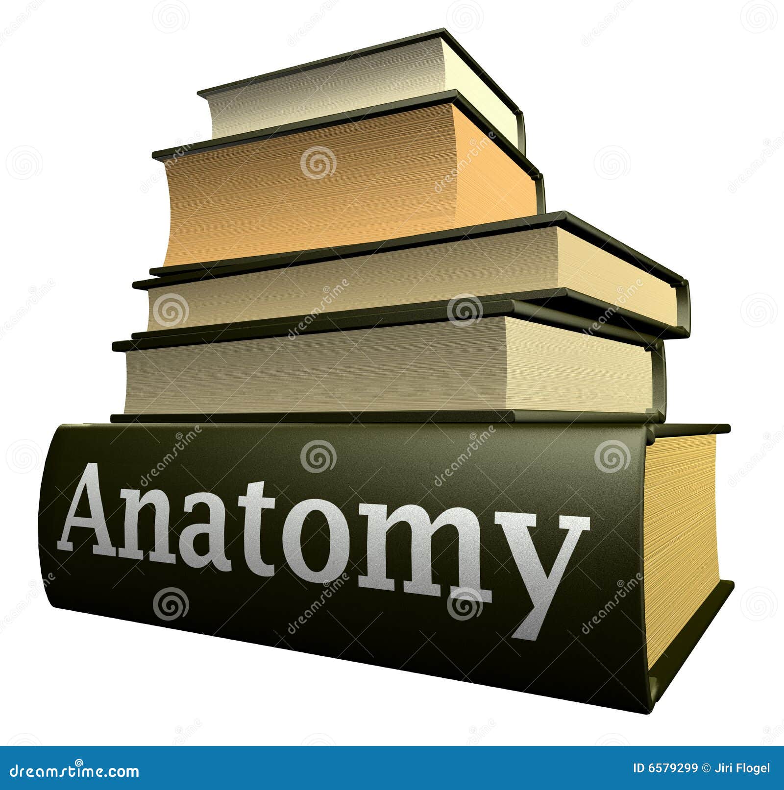 Education Books - Anatomy Royalty-Free Stock Photography ...