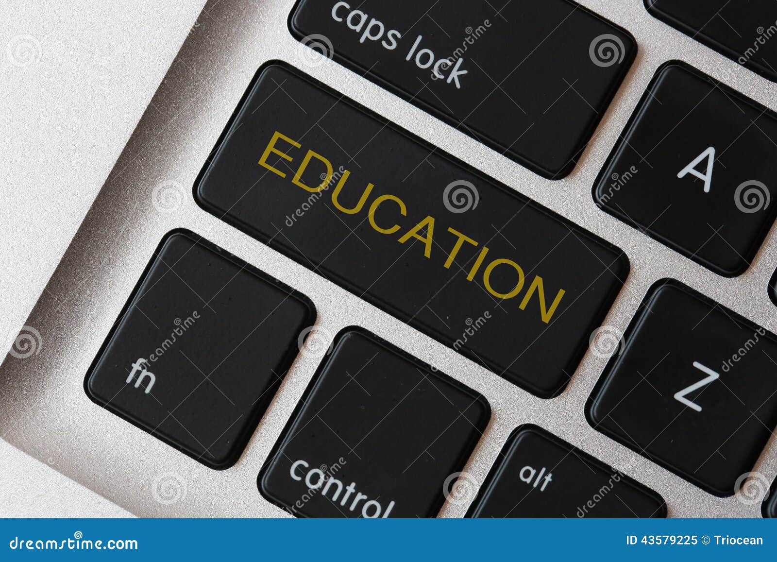 Education button stock image. Image of exploration, enter - 43579225
