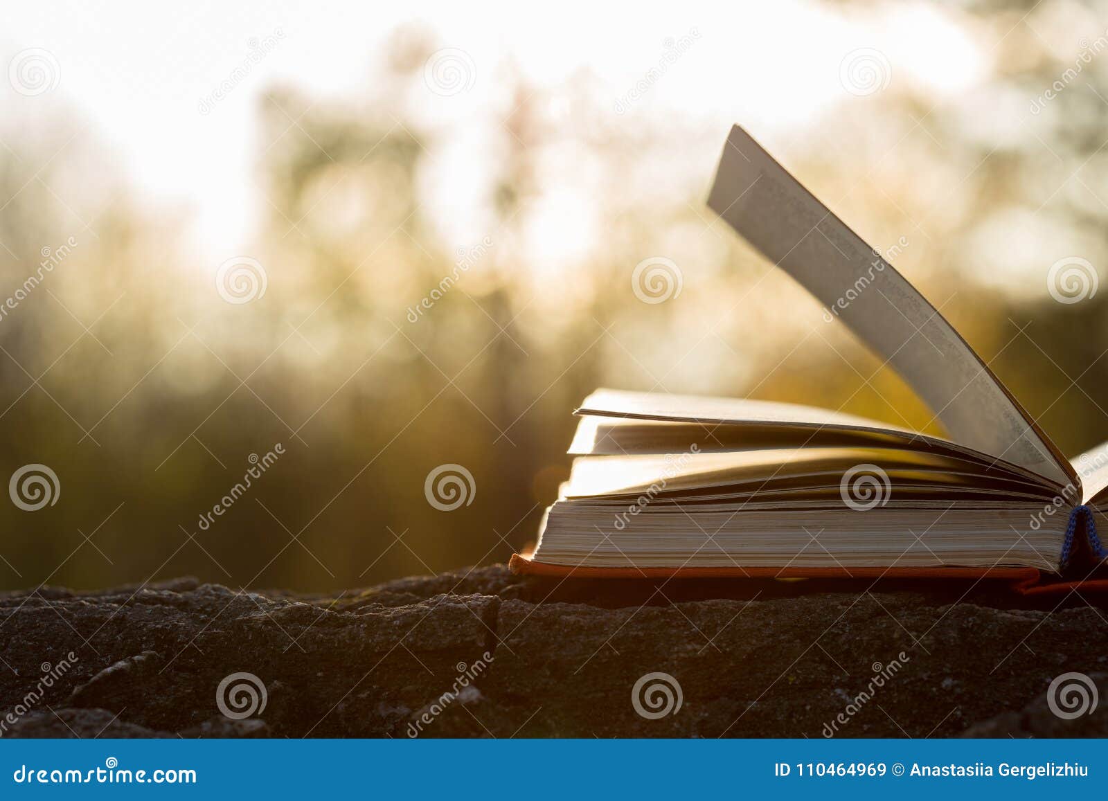 Education Concept - Open Book Under Sunset Sunlight Stock Image - Image ...