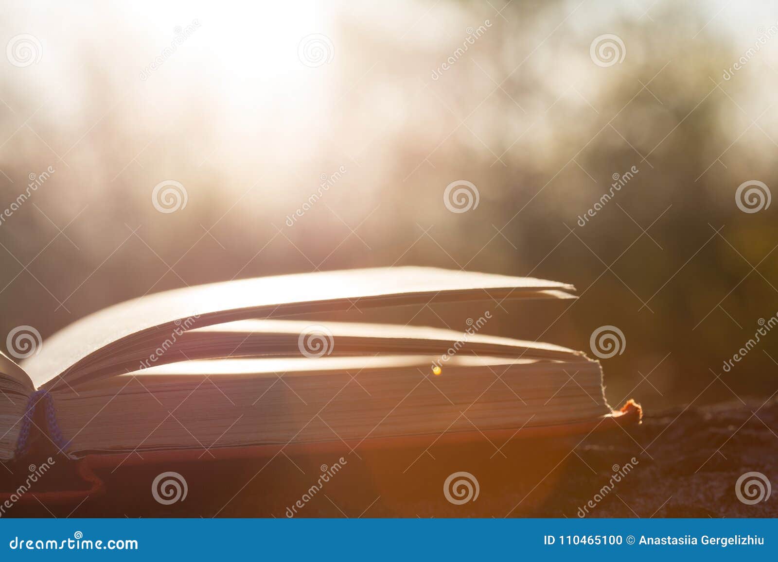Education Concept - Open Book Under Sunset Sunlight Stock Photo - Image ...
