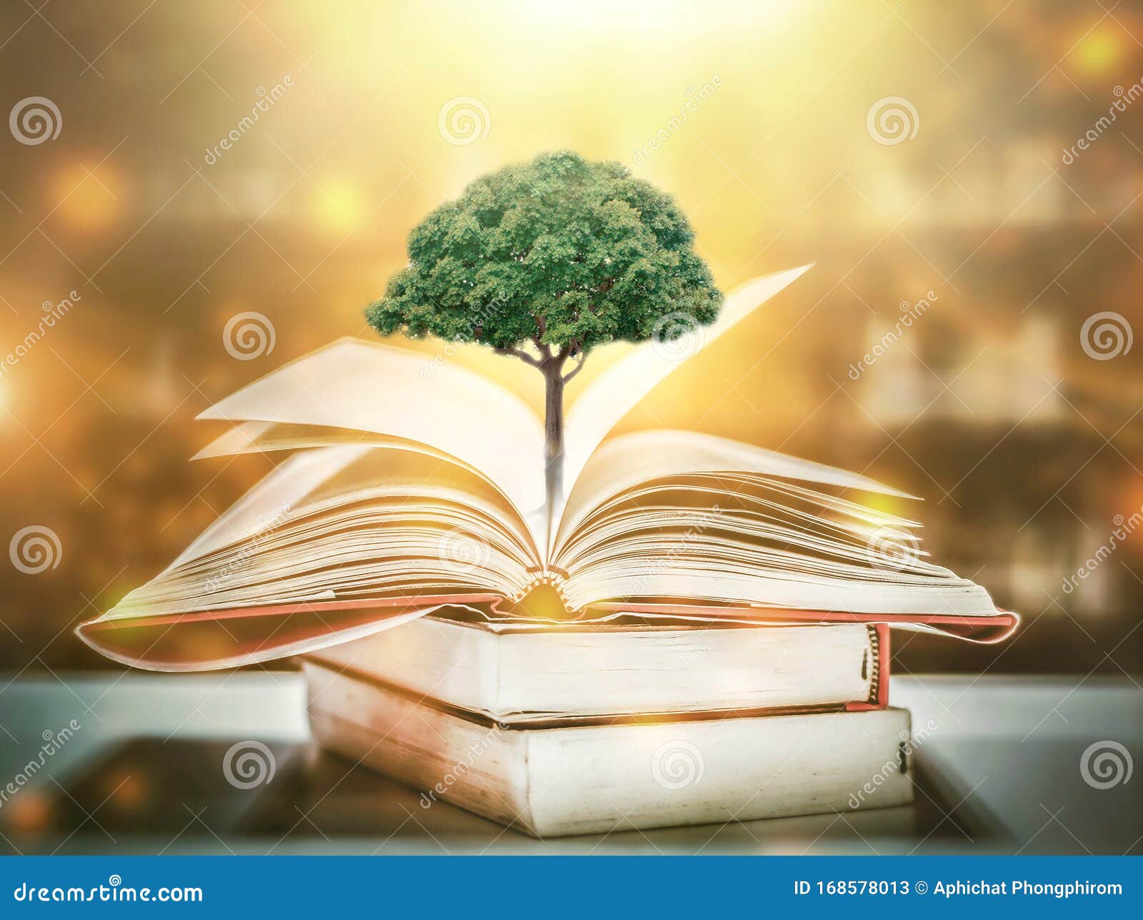 Education Concept with Tree of Knowledge Planting on Opening Old Big ...