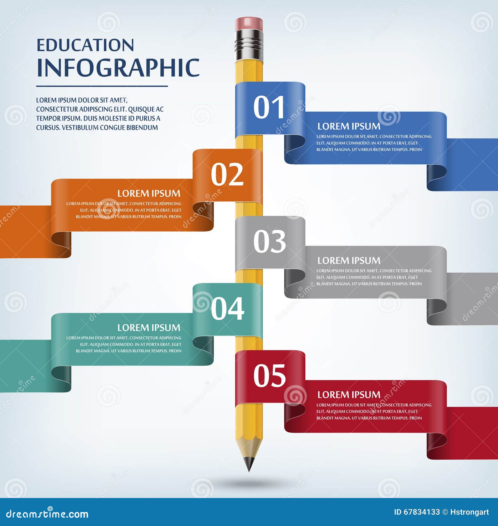 Education Infographic Template Design Stock Vector - Illustration of ...