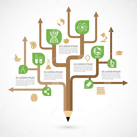 Education infographic stock vector. Illustration of abstract - 61143259