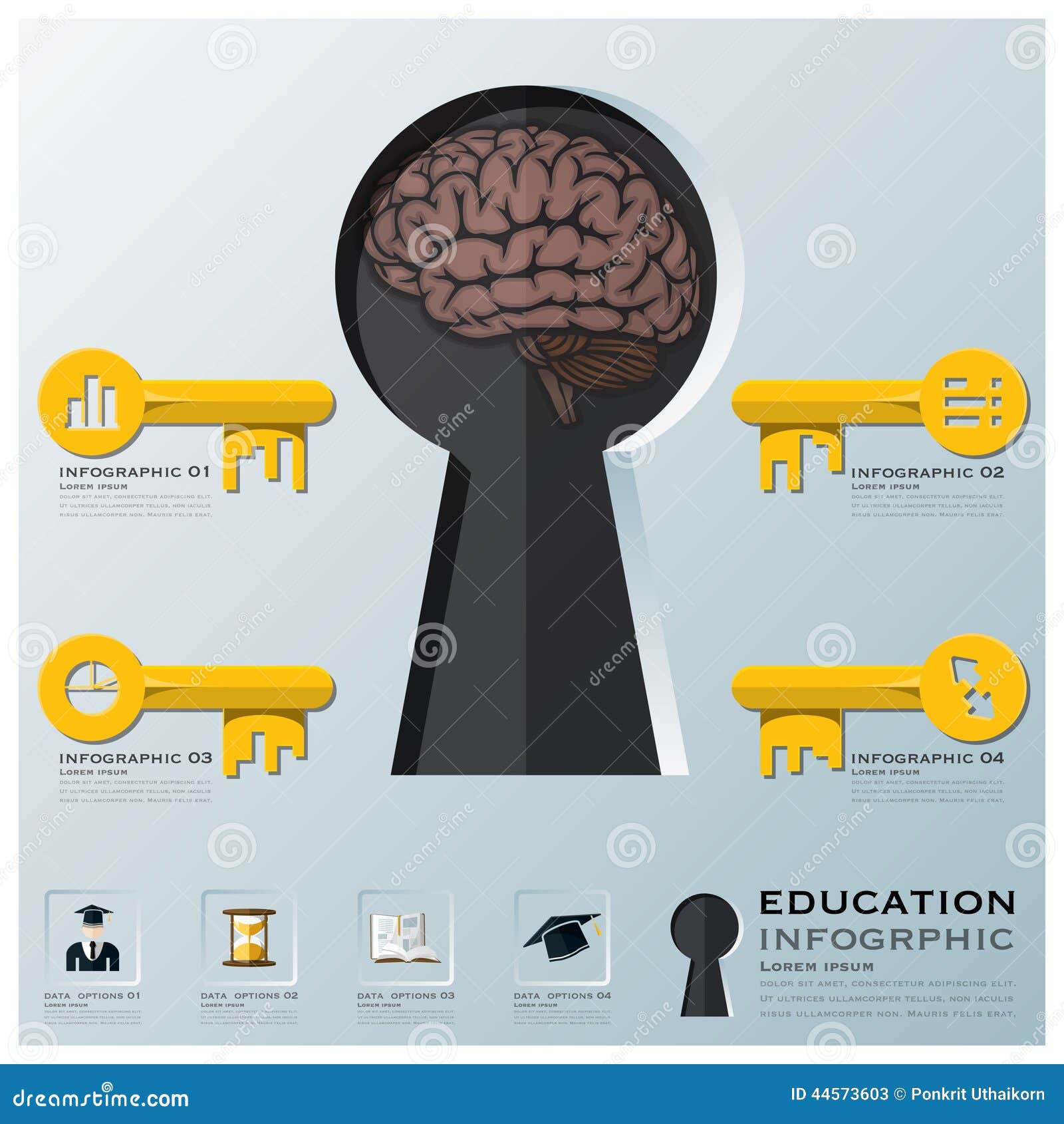 Education and Learning Key Shape Infographic Stock Vector ...