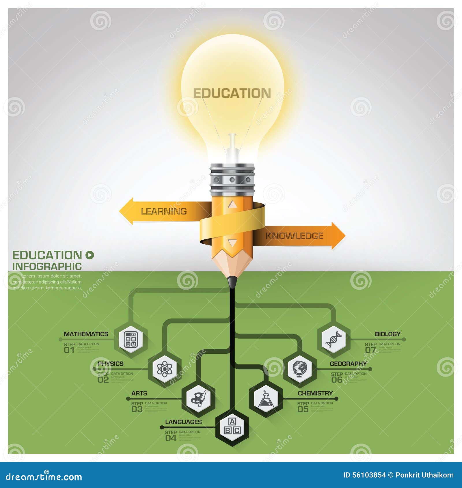 Education and Learning Subject Tree Root Step Infographic Diagram Stock ...
