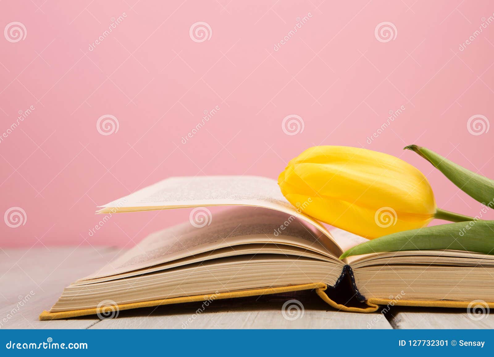 Education and Reading Concept - Open Book with Flower Leafs Stock Image ...